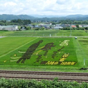八幡田んぼアート – DO・RI・YA ～石鳥谷地域情報発信サイト～