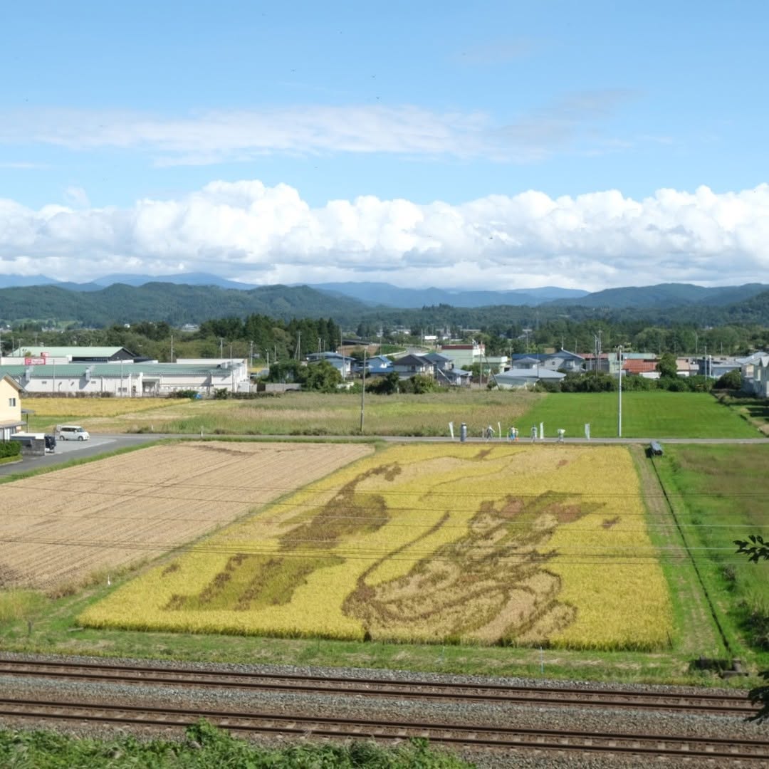 八幡田んぼアート – DO・RI・YA ～石鳥谷地域情報発信サイト～